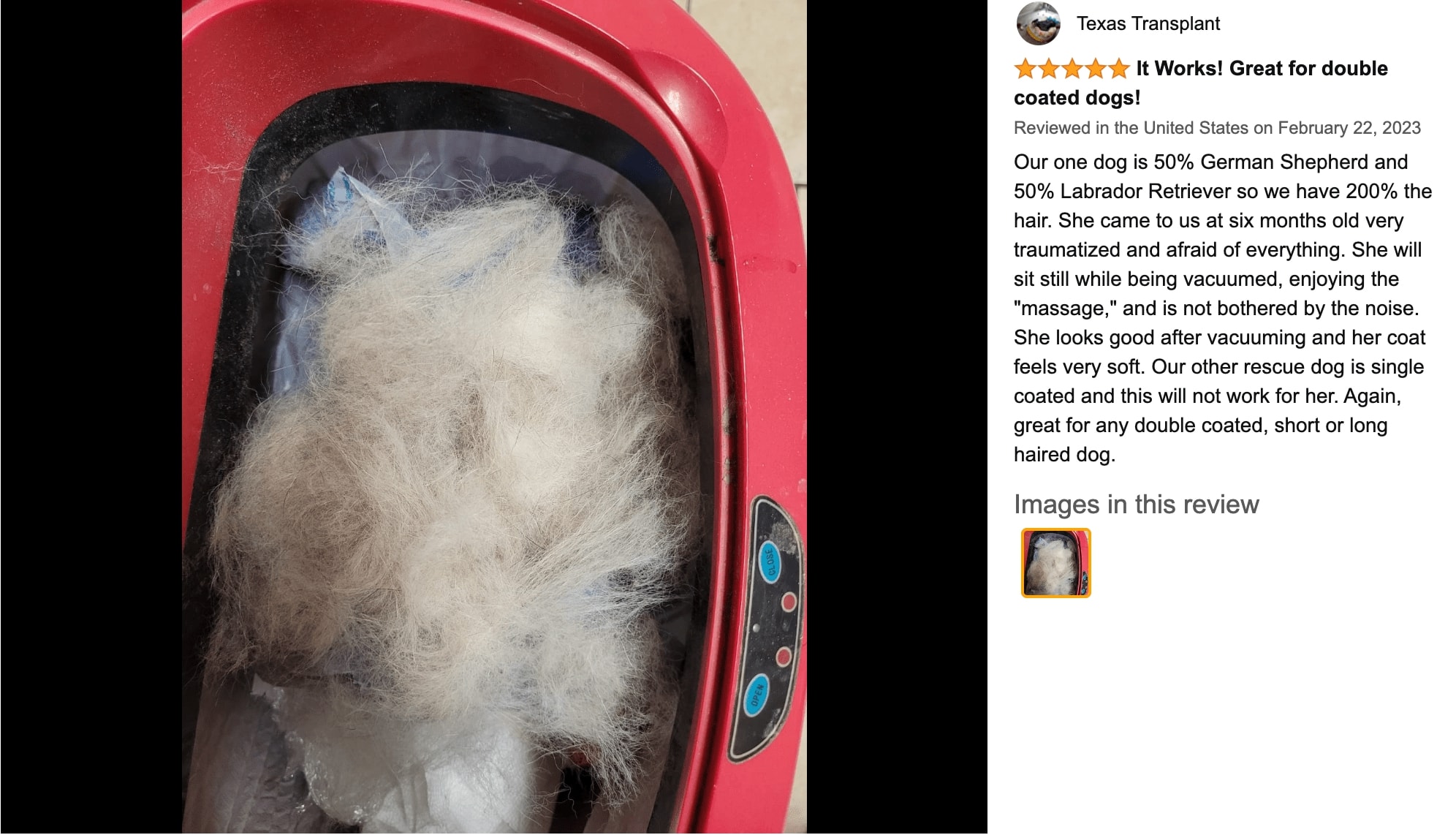 Neabot P1 Pro: The Ultimate Pet Grooming Vacuum Kit Review